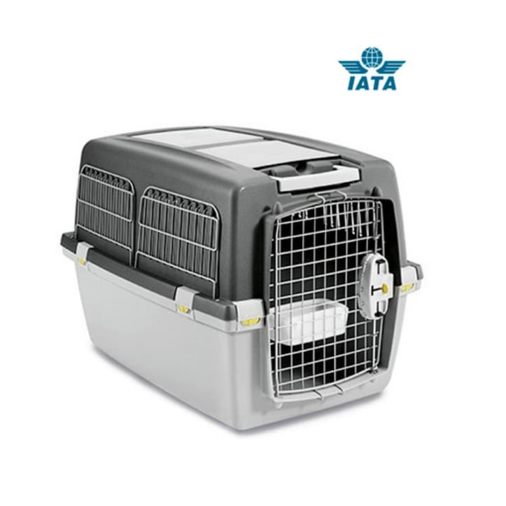 Guacal Gulliver 5 Iata – Tienda Dr Clauders